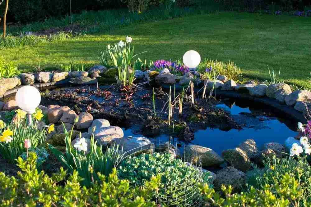 Is a Pond Worth the Investment for Delaware Homes? - First State Ponds ...